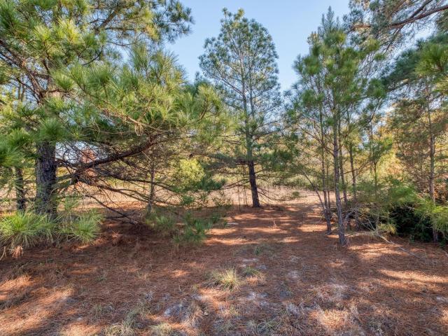 000 Dunbar Rd Tract 3 Rd