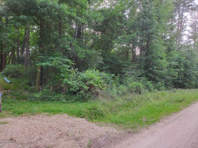 000 Elmwood Drive