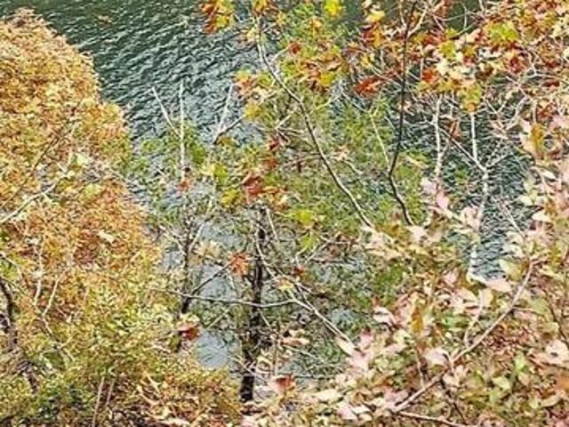 000 Fox Pen, Searcy, AR 72143 631051938
