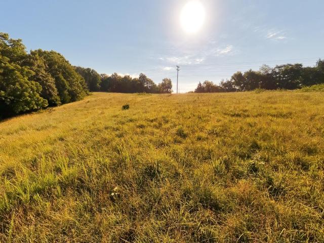 000 Foxden Drive Lot 3