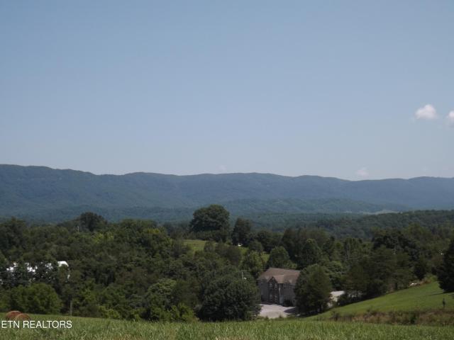 000 forge ridge rd