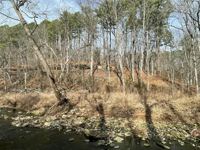 000 Forest Drive