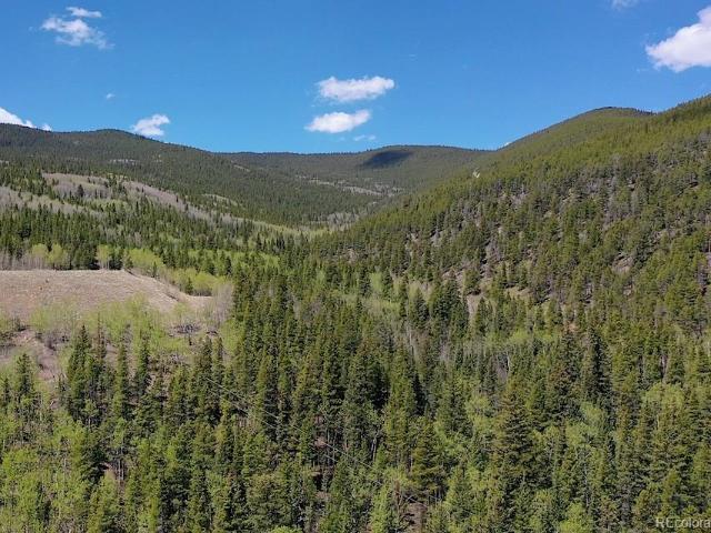 000 Forest Service