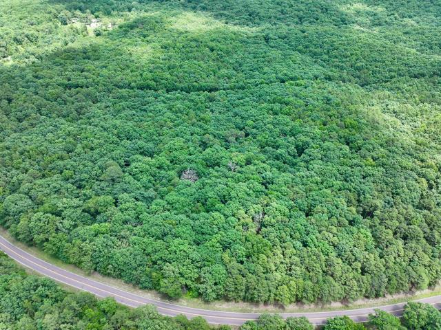000 Forest Service Road
