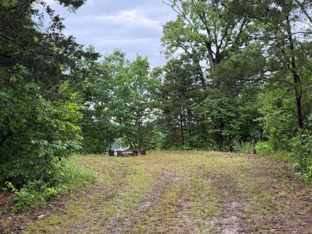 000 Farm Road 1250
