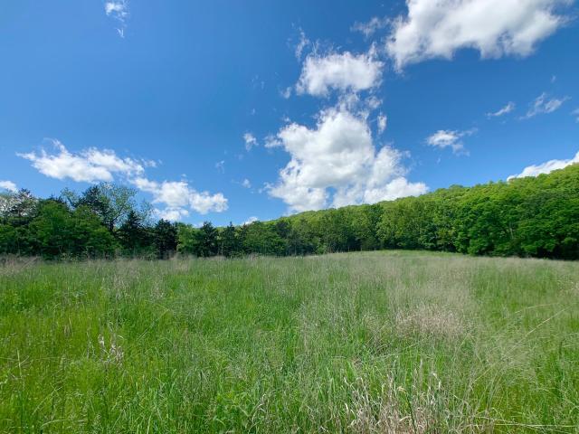 000 Farm Road 1280