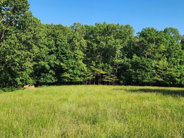 000 Farm Road 2160