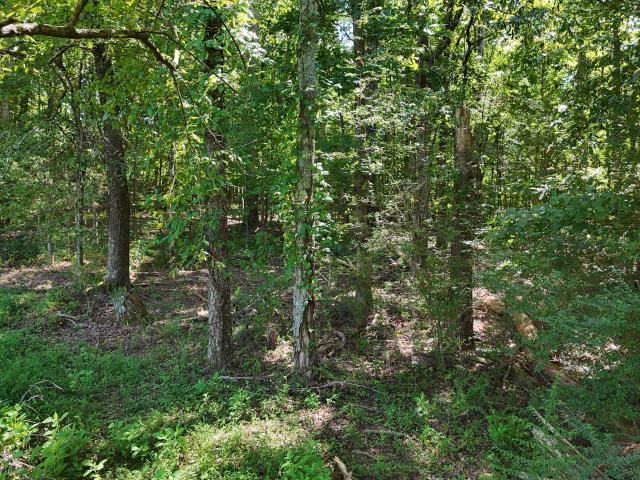 000 Fezzell Rd
