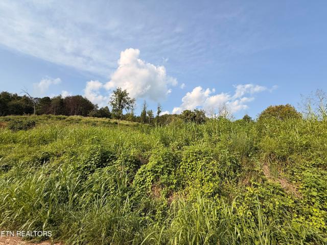 000 Flower Gap Rd