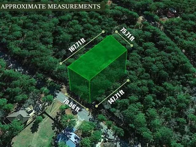 000 Kaanapali Ln, Bastrop, TX 78602