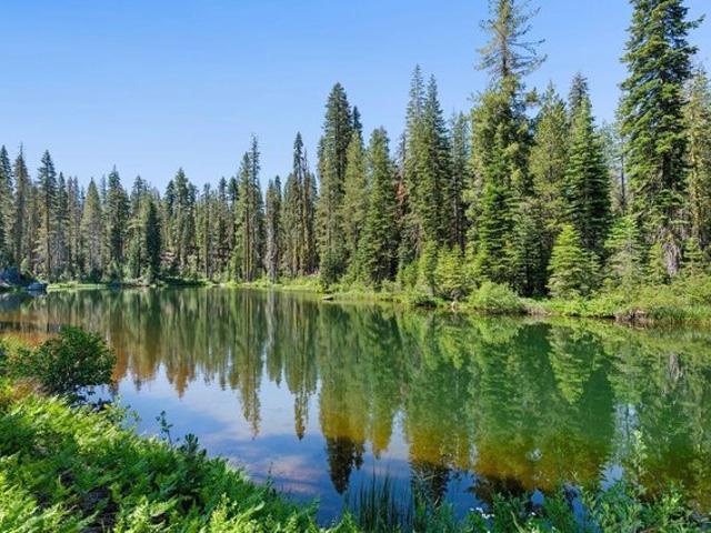 000 Kidd Lakes Rd, Soda Springs, CA 95728