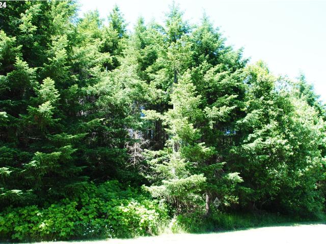 000 Kings Valley HWY