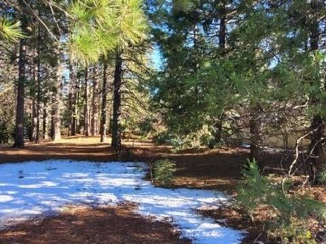 000 Holiday Ln, Mount Shasta, CA 96067