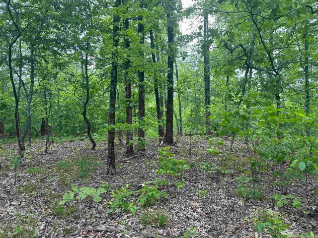 000 Holly Mtn Rd