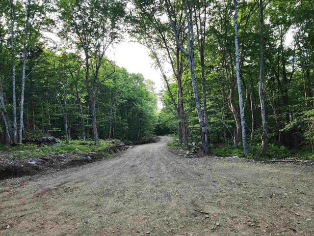 000 Hampshire Woods Loop # R013 0007 0