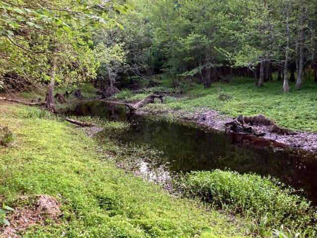 000 Harrell Road