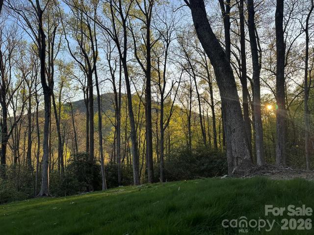 000 Hemlock Grove Trail # 51