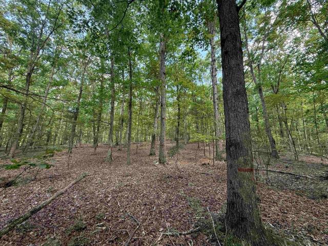 000 herndon cemetery rd