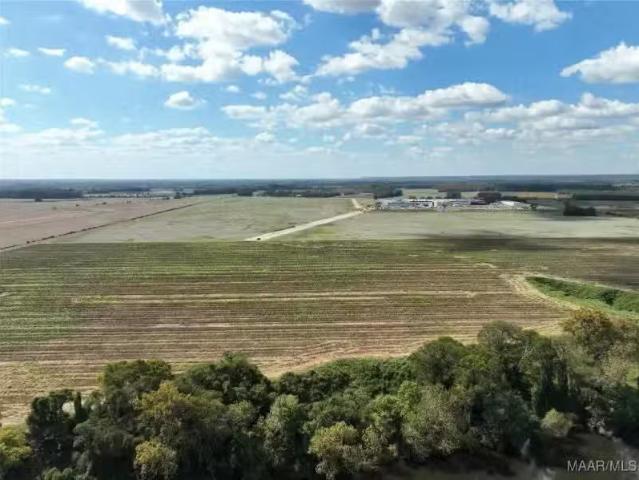 000 HIGHWAY 223 HIGHWAY, TALLASSEE, AL 36078 Vacant Land For S.