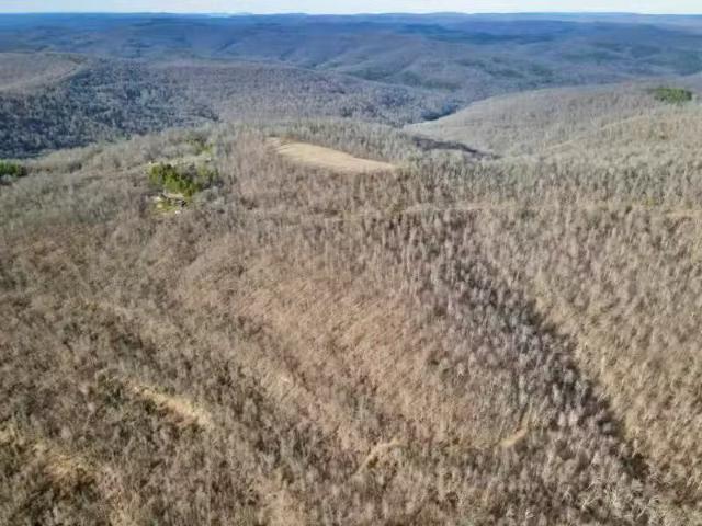 000 HWY 7, DOVER, AR 72837 Vacant Land For Sale MLS# 25009521