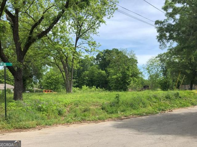 000 Irwin St, Cedartown, GA 30125 MLS 10296658