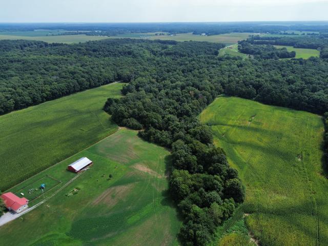 000 Iuka Road