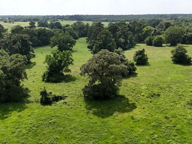 000 Jones Road