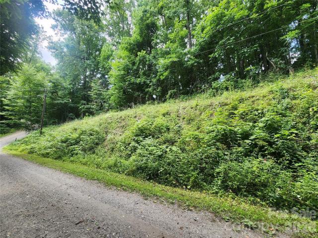 000 Jacks Knob Road