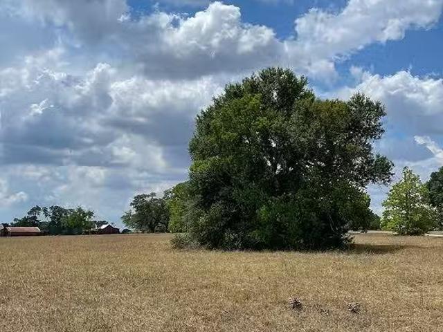 000 Jackson Street, Cat Spring, TX 78933