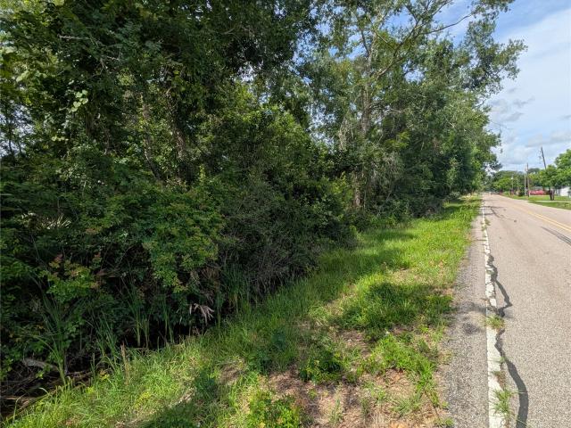 000 Oak Forest Street