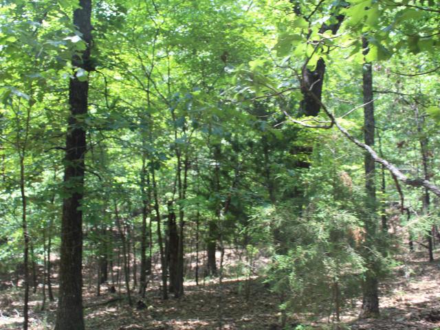 000 Oakridge Avenue # Block 3 Lot 64