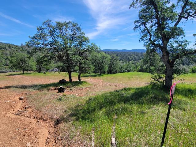000 Off Miller Mountain Road