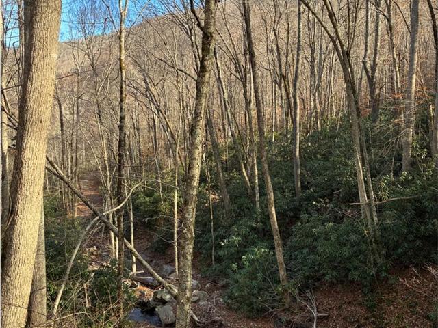 000 Ogles Gap Road
