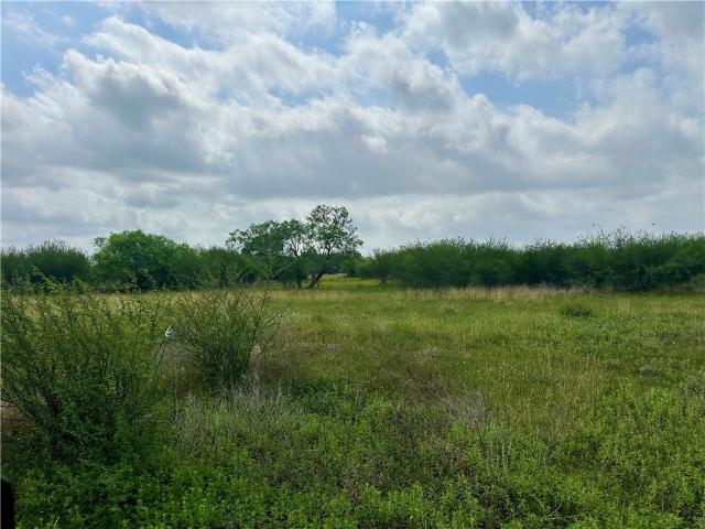 000 Old Goliad Rd Tract 17