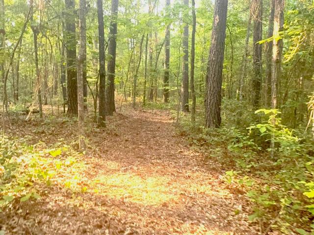 000 Old Whiskey Road S