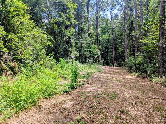 000 Ole Long Pull Road