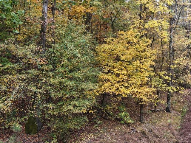 000 Lower River Road NW