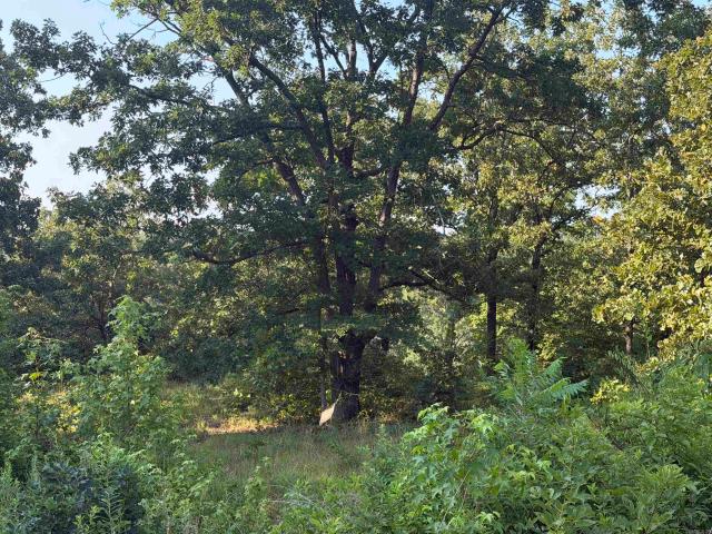 000 Lale Ridge Estates