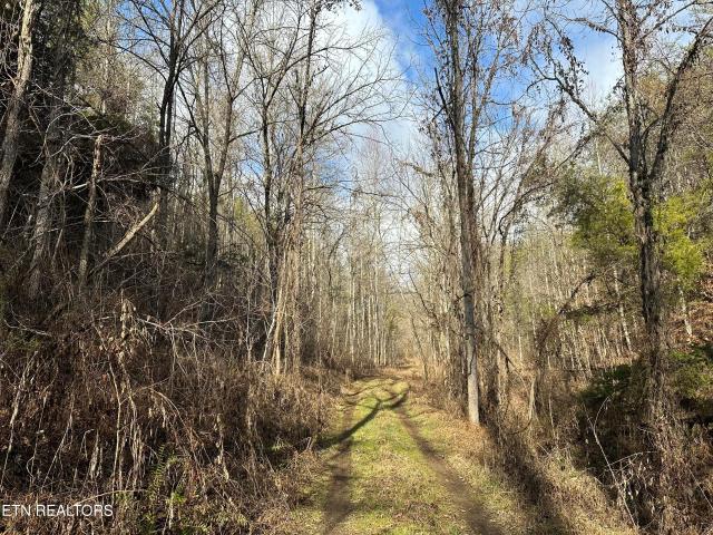 000 Leatherwood Rd