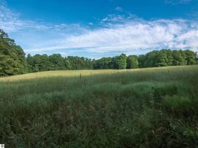 000 LITZEN ROAD, COPEMISH, MI 49625 Vacant Land For Sale MLS#.