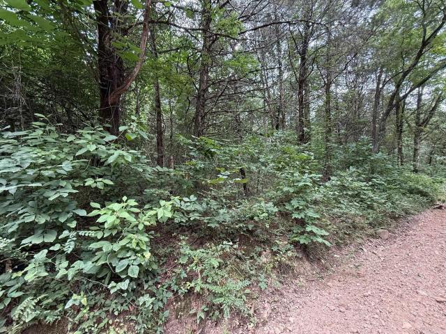 000 Lindsey Hill Lane