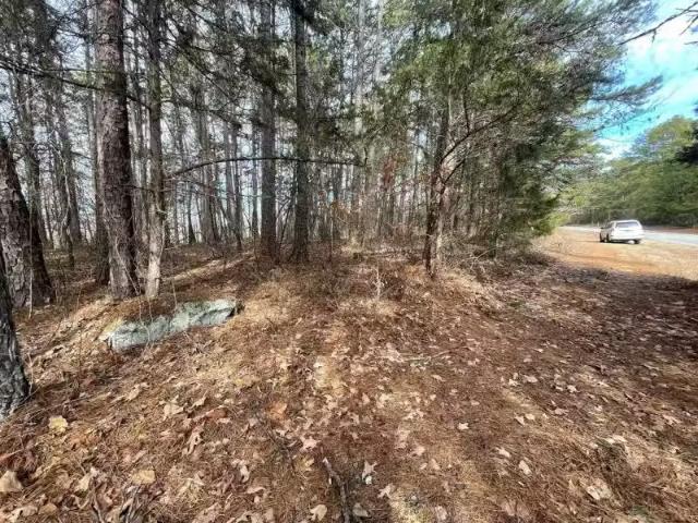 000 MOUNTAIN RANCH DRIVE, FAIRFIELD BAY, AR 72088 Vacant Land.