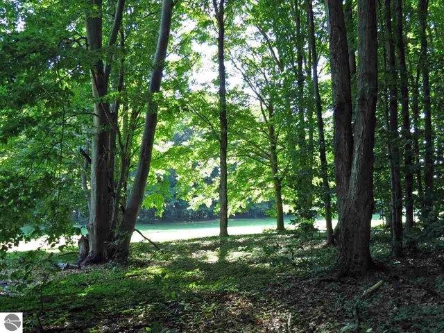 000 Mountain Woods Ct Unit 2, Thompsonville, MI 49683