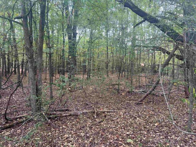 000 Middle Warren Rd
