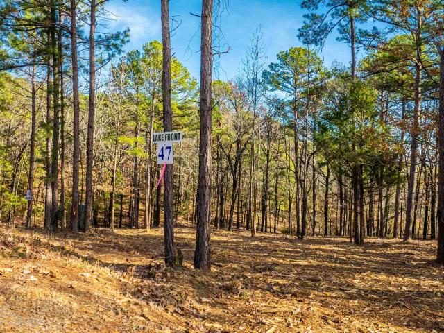 000 Miller Point Lot 47 Drive