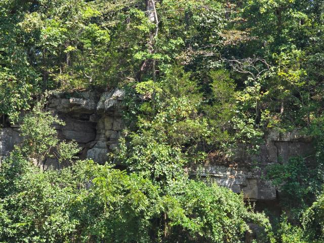 000 Minera Mineral Drive