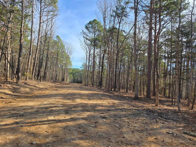 000 Mineral Dr. Lot 3