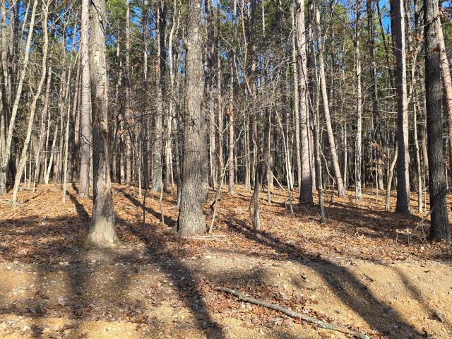000 Mineral Dr. Lot 2