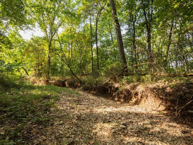 000 Misty Springs Road