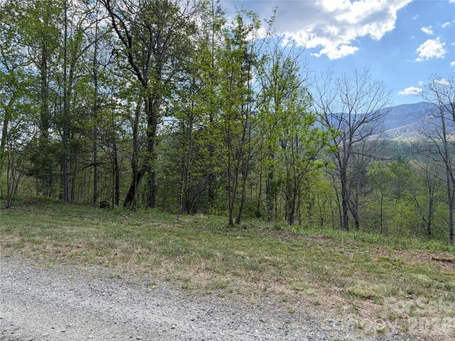 000 Mt. Mitchell Drive